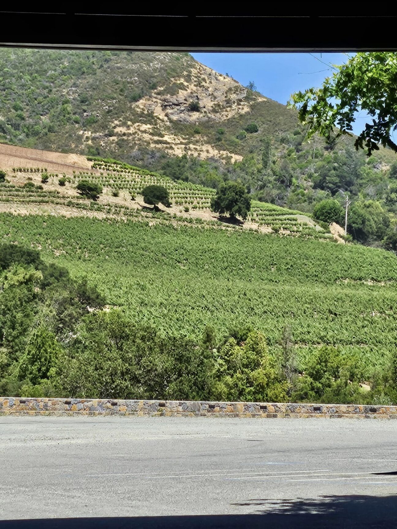 Repris Winery Visit - Wine Review and Tasting Notes Winery Visit - Wine ...