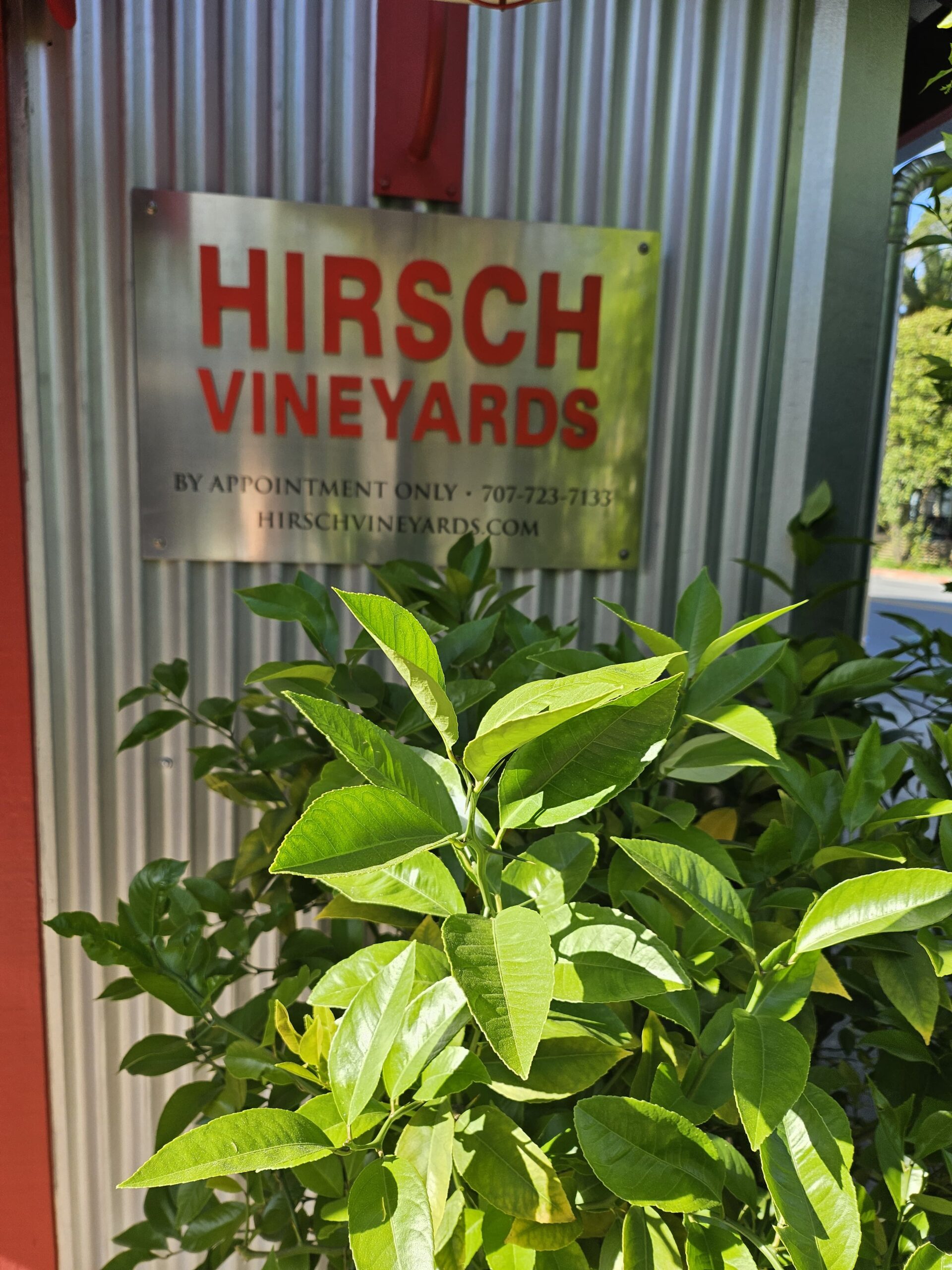 Hirsch Vineyards - Wine With Karren